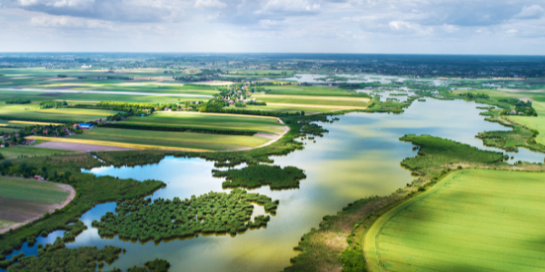 Quarries & Biodiversity - Case Studies since 2000